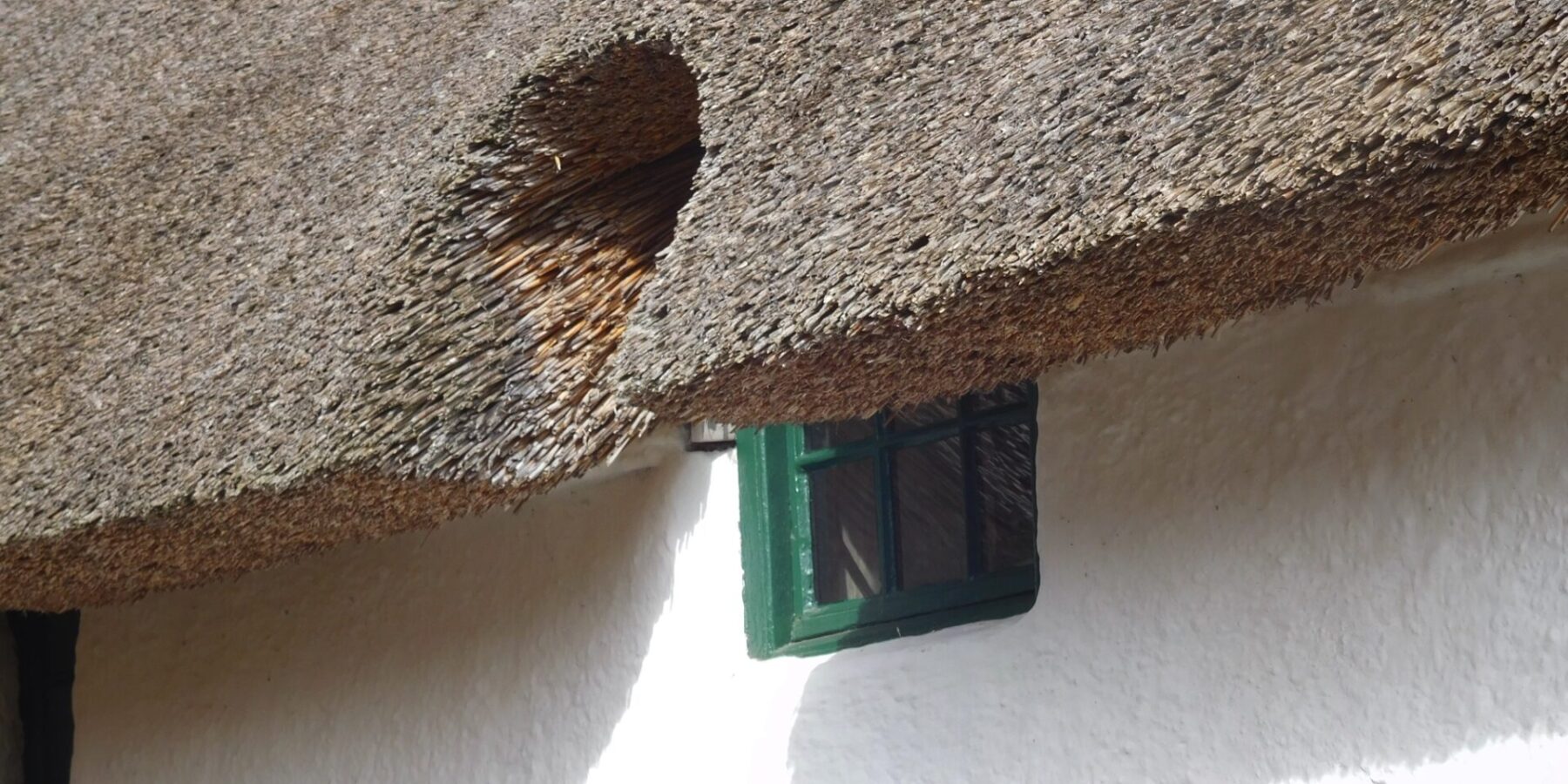 Hugh Miller's Cottage - Cromarty Camping